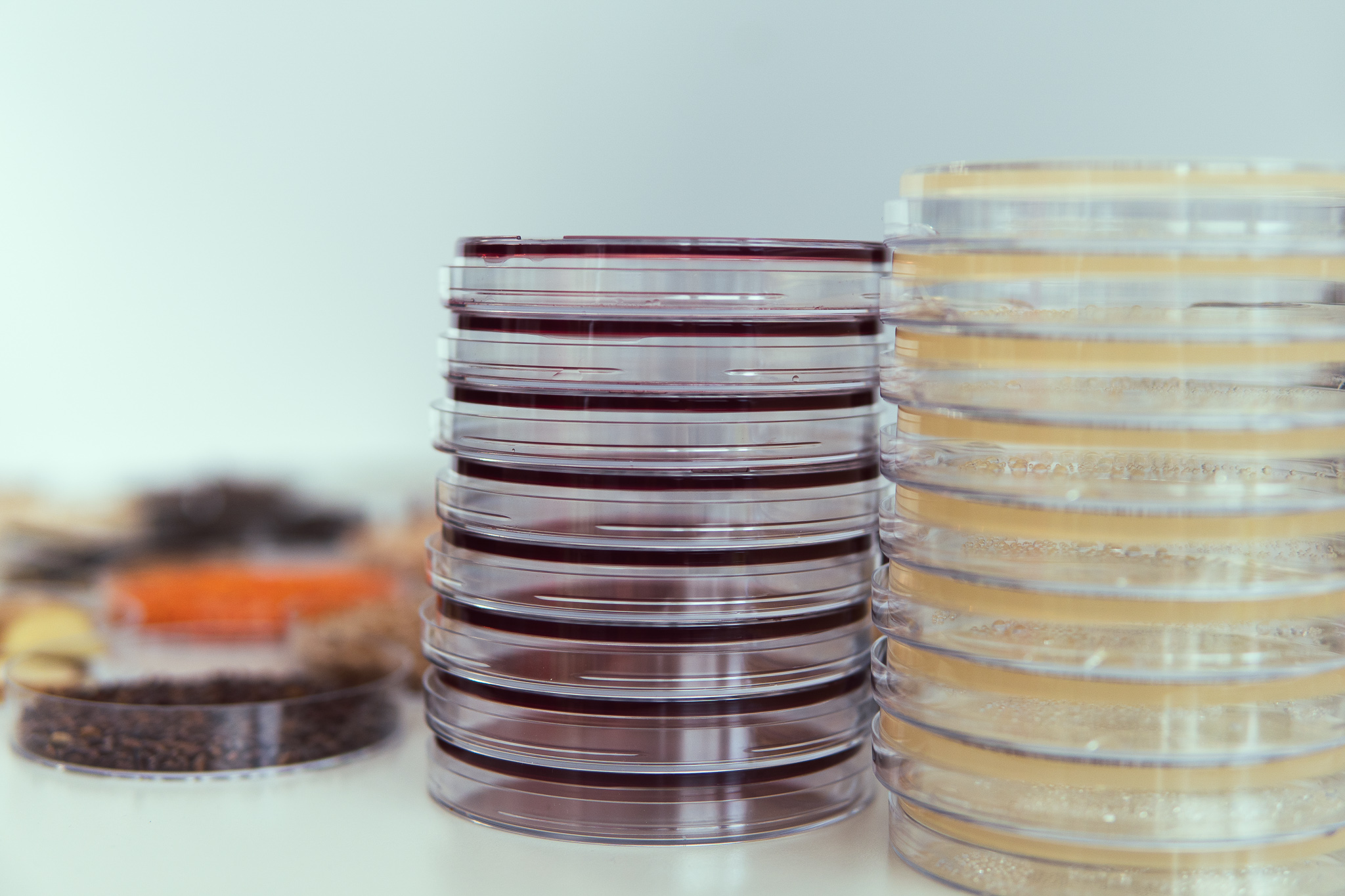 Analytical Contract Laboratory | NATECO2 - Your Experts in scCO2-Extraction | Ingredients Network